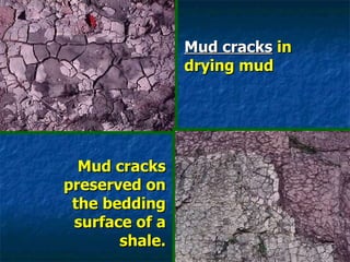 Sedimentary & Metamorphic Rocks | PPT | Geology | Science