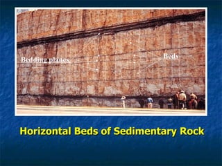 Sedimentary & Metamorphic Rocks | PPT | Geology | Science