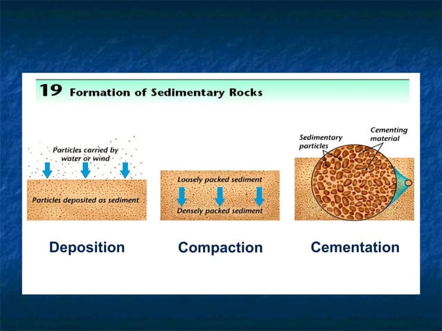 Sedimentary & Metamorphic Rocks | PPT | Geology | Science