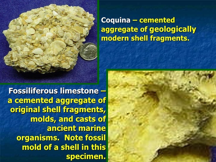 Coquina Shell Aggregate: Coquina Stone – UPFV