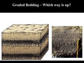 SedStructures.ppt