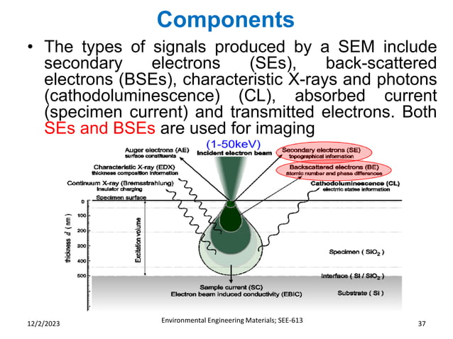 Scanning Electron Microscopes (SEM) & Transmission Electron Microscopes (TEM) | PDF
