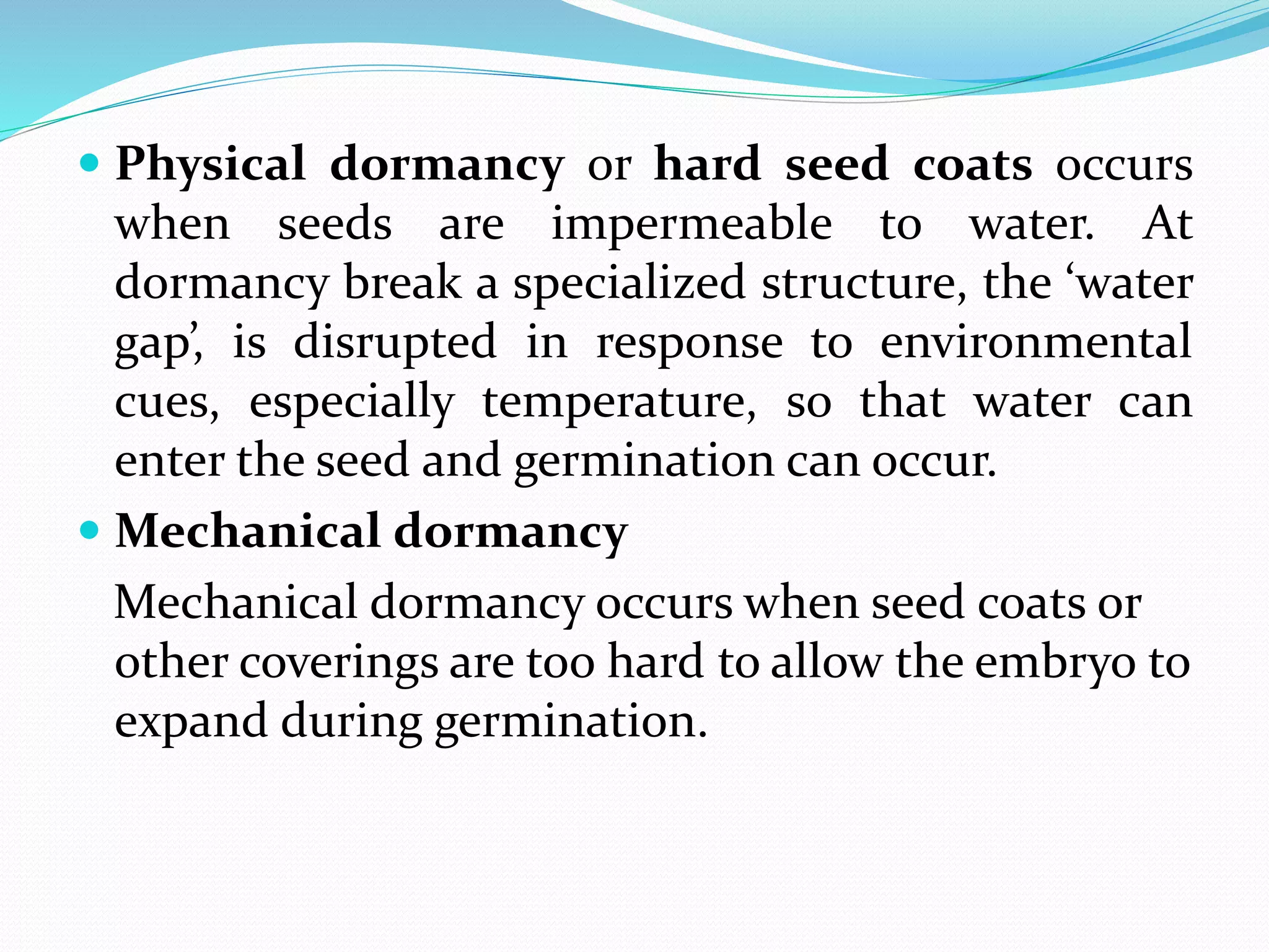 Seed | PPTX