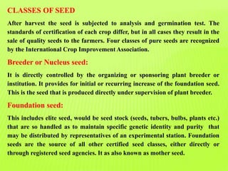 Seed type and characterstics | PPTX | Agriculture | Industries