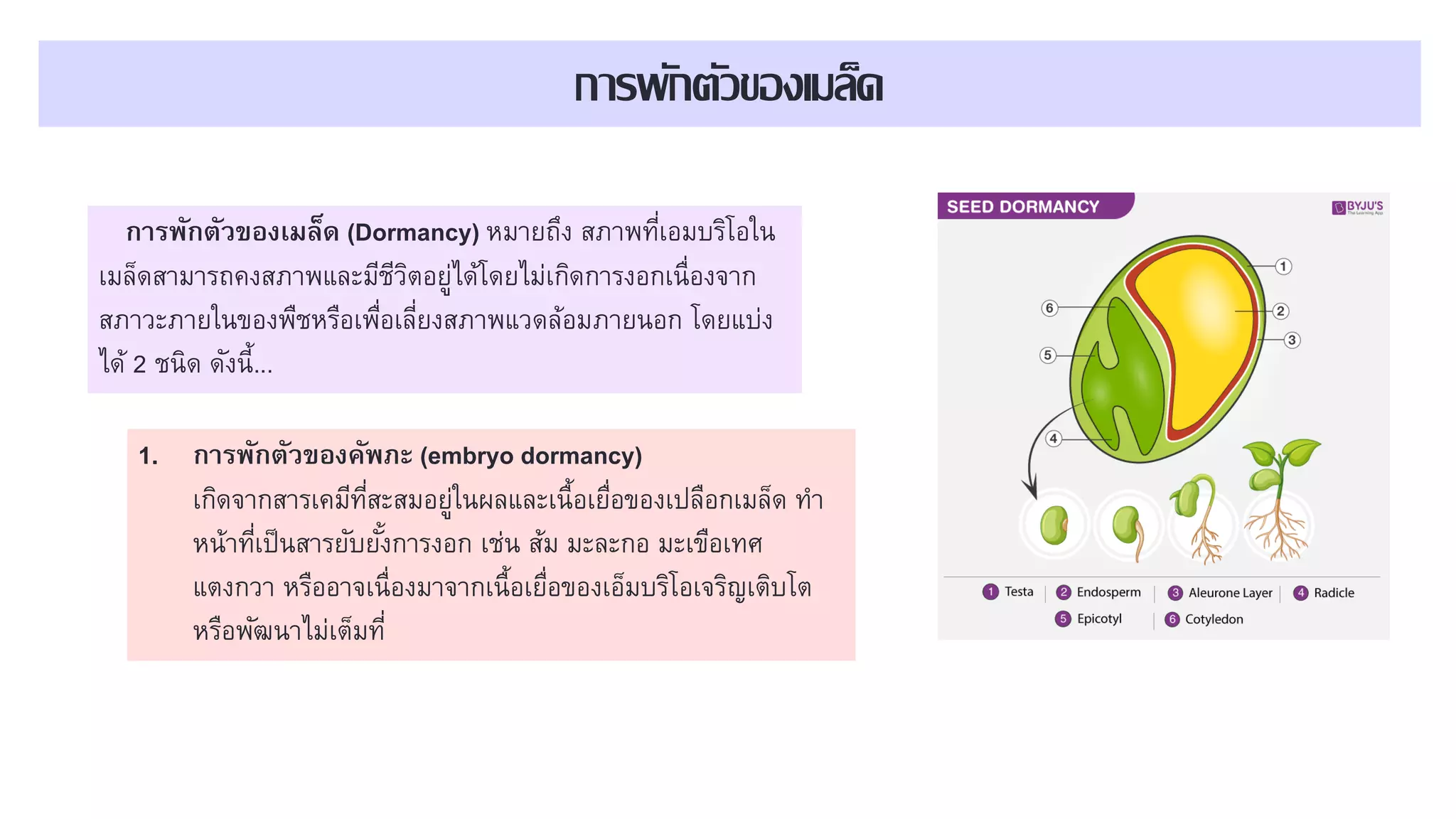 Seed Germination and Dormancy | PDF