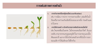 Seed Germination and Dormancy | PDF