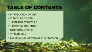 SEED.pptx