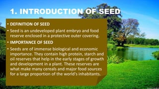 SEED.pptx