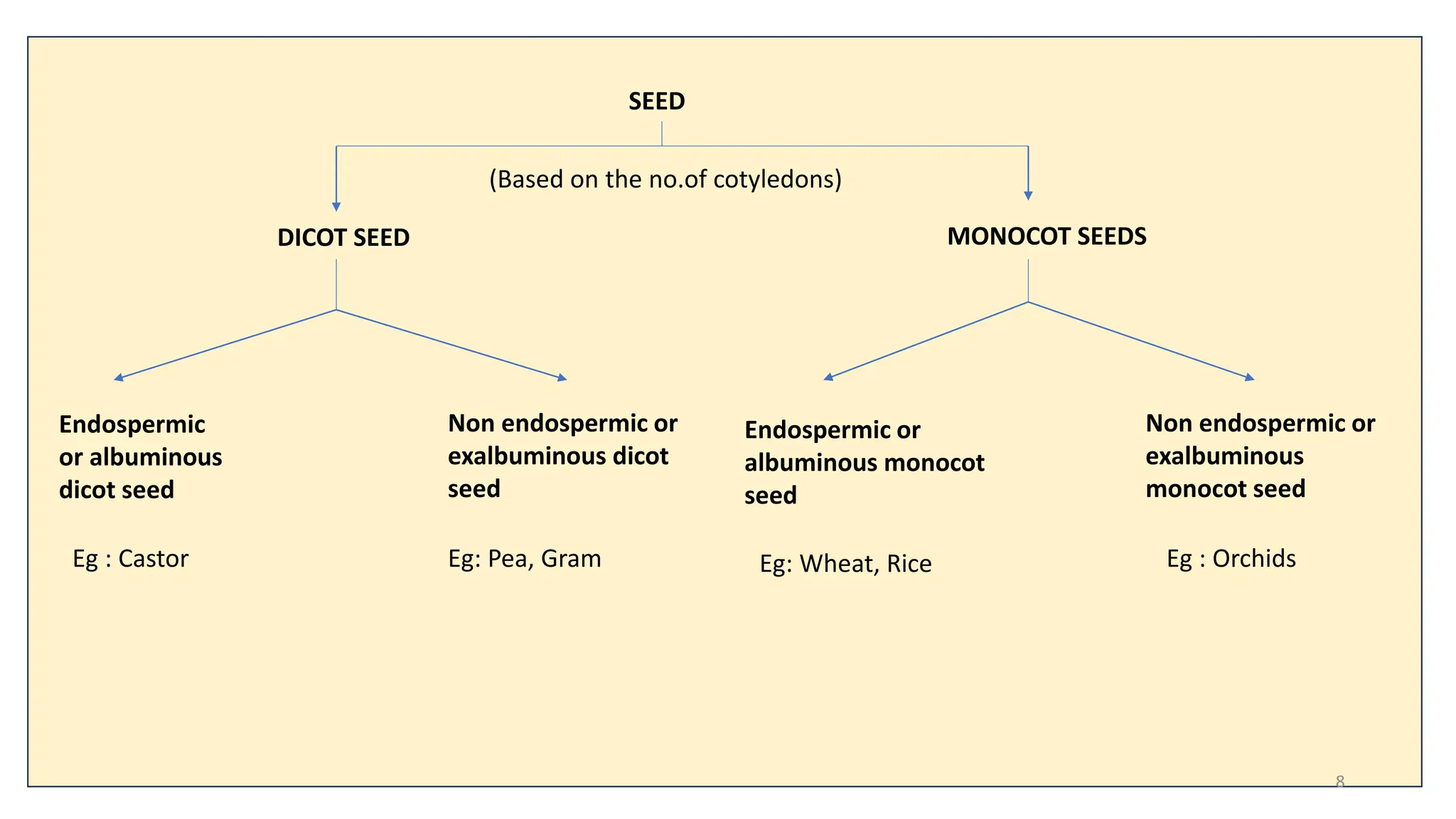 seed : structure, parts of a seed, types | PPTX