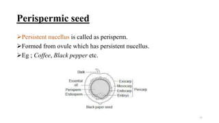 seed : structure, parts of a seed, types | PPTX | Gardening | Home & Garden