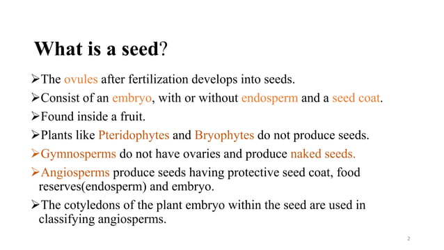seed : structure, parts of a seed, types | PPTX | Gardening | Home & Garden
