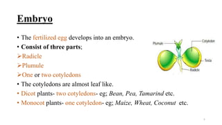 seed : structure, parts of a seed, types | PPTX