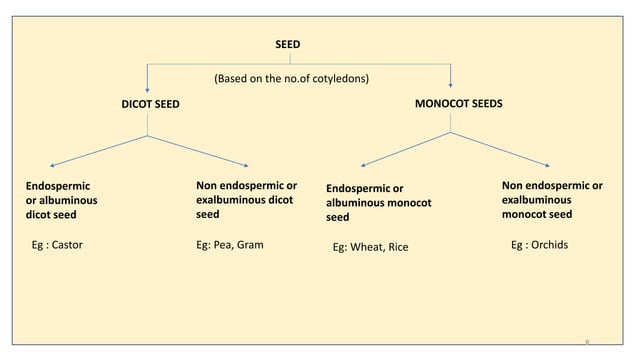 seed : structure, parts of a seed, types | PPTX | Gardening | Home & Garden