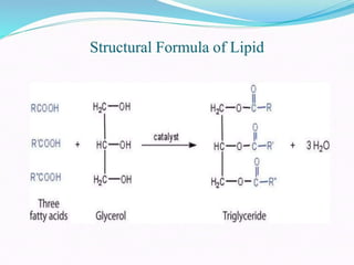 Seed as a Propagation Material : Seed size and Chemical Composition and ...