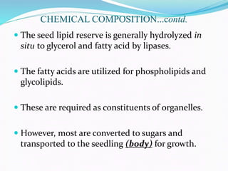 Seed as a Propagation Material : Seed size and Chemical Composition and ...
