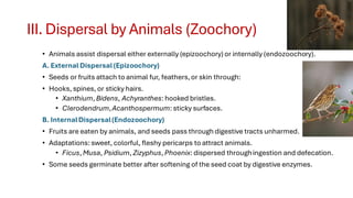 SEED- TYPES, GERMINATION AND MEANS OF DISPERSAL | PDF