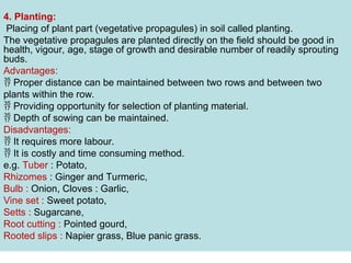 Seed-and-sowing-Methods--crop-density--Geometry (1).ppt