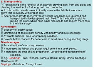Seed-and-sowing-Methods--crop-density--Geometry (1).ppt