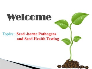 Seed -borne Pathogens and Seed Health Testing ppt[1].pptx