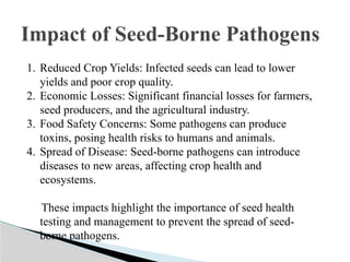 Seed -borne Pathogens and Seed Health Testing ppt[1].pptx