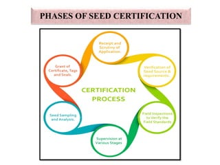 seed-certification.pdf