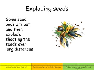 GermiWhat does a seed need to germinate? | PPT