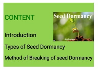Seed-Dormancy-WPS-Office-himal_rawat.pdf