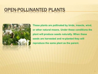 Seed Lingo - The First Step in Know how to Grow Healthy Food | PPT