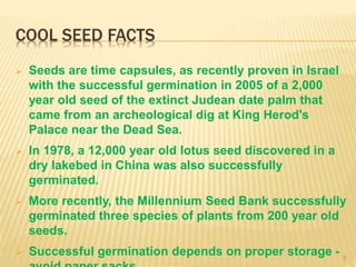 Seed Lingo - The First Step in Know how to Grow Healthy Food | PPT