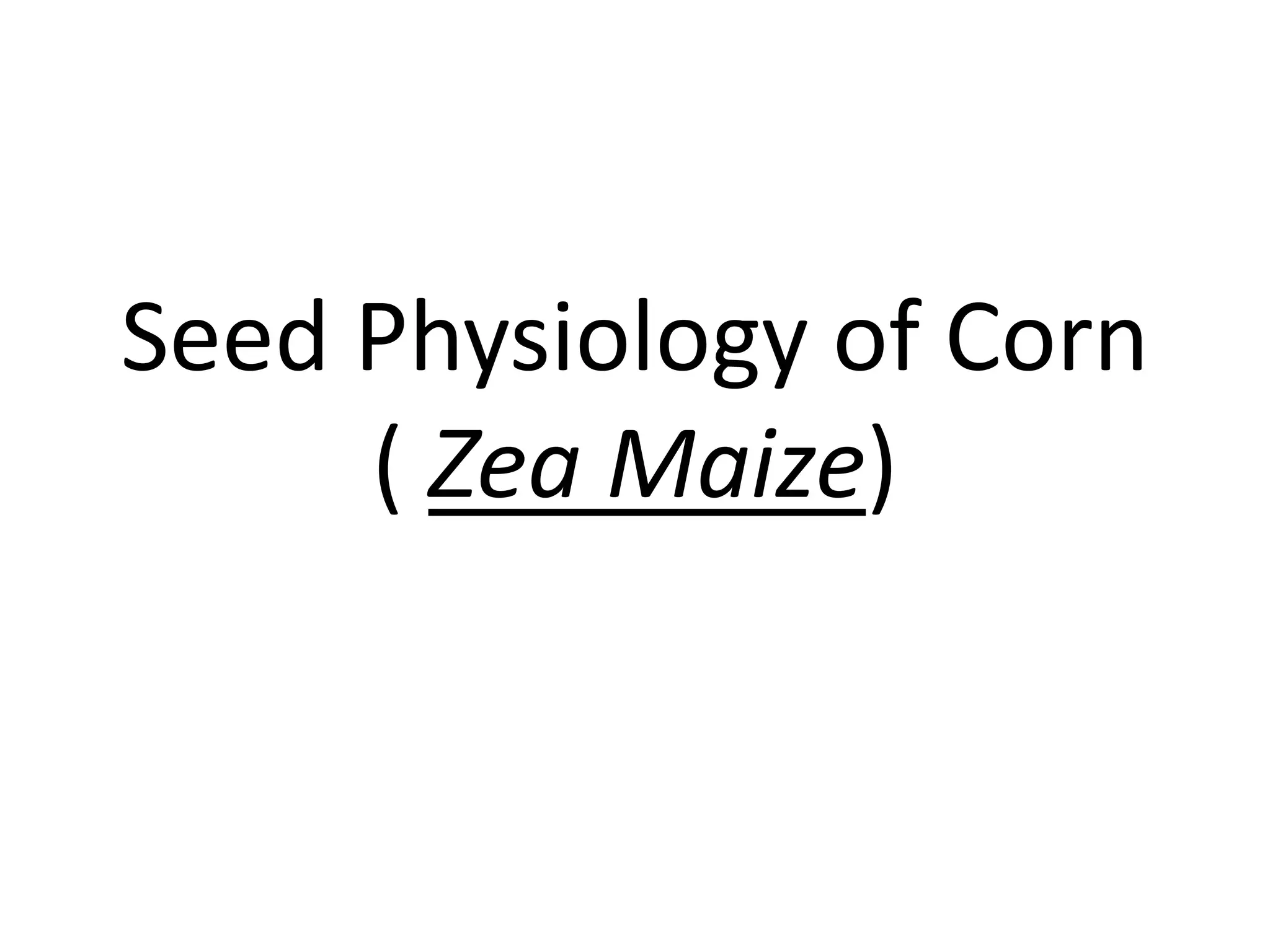 Advanced Physiology-of-Corn-Zea-Maize.pptx