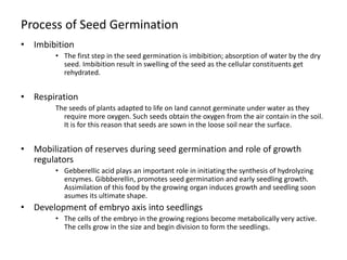 Advanced Physiology-of-Corn-Zea-Maize.pptx