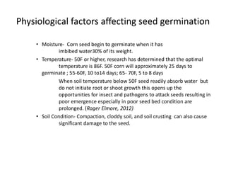 Advanced Physiology-of-Corn-Zea-Maize.pptx