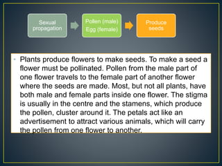 Seed propagation-agribotany | PPTX | Gardening | Home & Garden