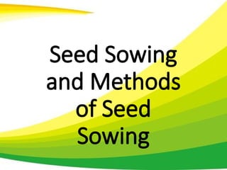 Seed-Sowing and Methods of Seed Sowing. Pptx | PPT