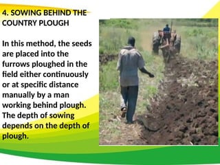 Seed-Sowing and Methods of Seed Sowing. Pptx | PPT