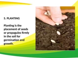 Seed-Sowing and Methods of Seed Sowing. Pptx | PPT