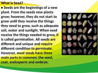 Seed-Sowing and Methods of Seed Sowing. Pptx | PPT