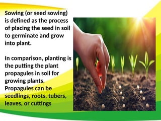 Seed-Sowing and Methods of Seed Sowing. Pptx | PPT