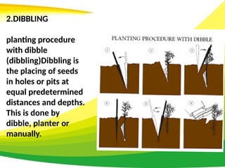 Seed-Sowing and Methods of Seed Sowing. Pptx | PPT