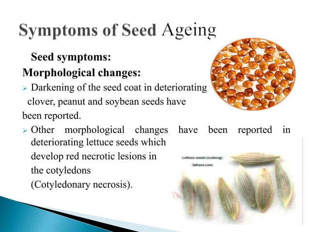 Seed ageing | PPTX