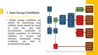 Seed Ageing.pptx