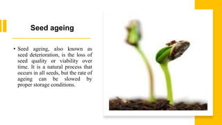 Seed Ageing.pptx