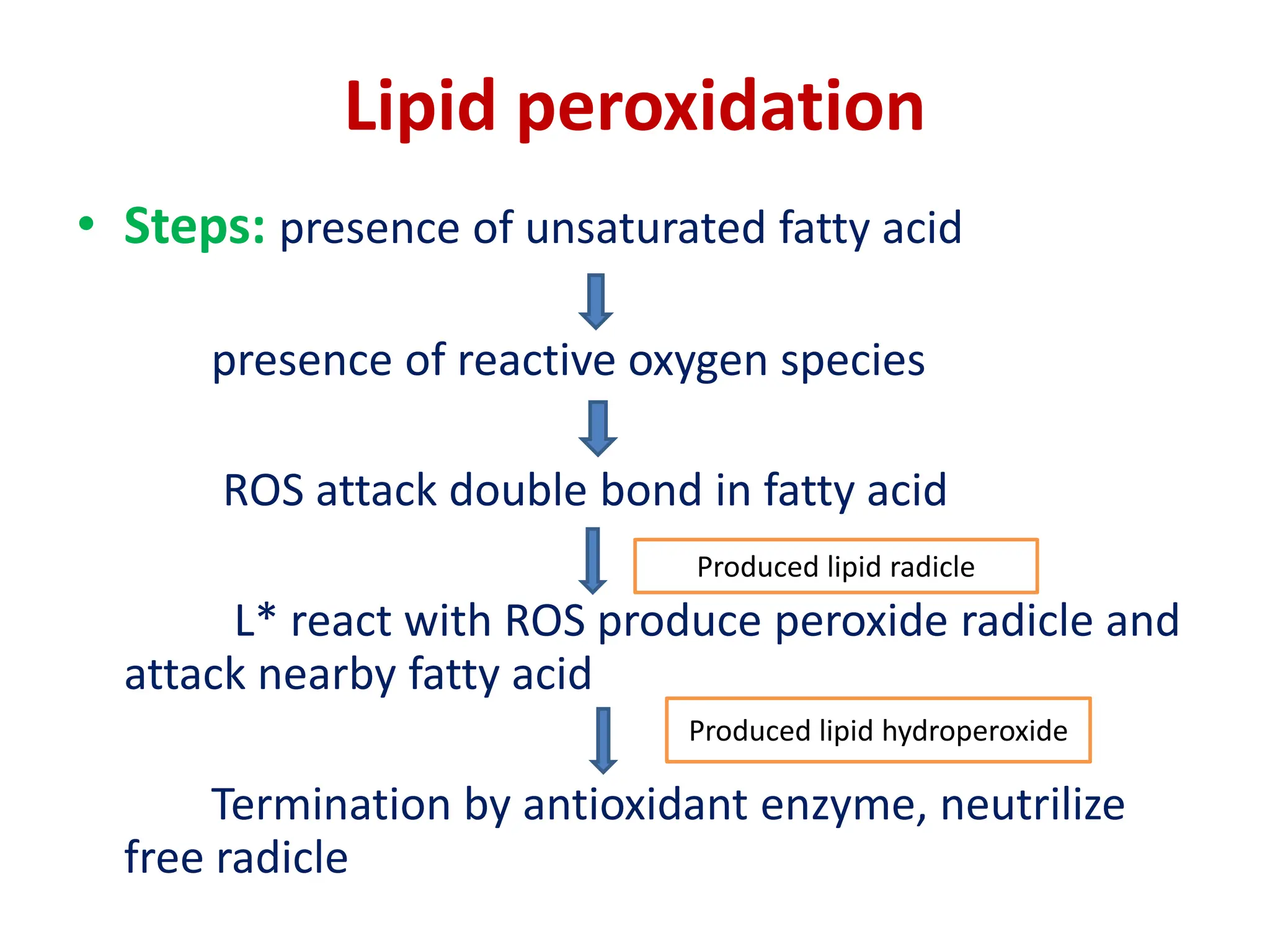Seed aging and mobilization of stored resources in seed | PPTX