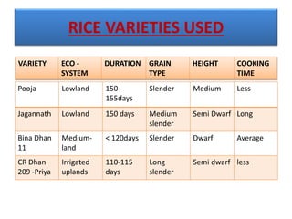 SEED AND CROP IMROVEMENT-Week 5.pptx