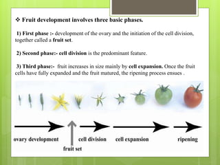 Seed and Fruit development and Seed and Fruit Abortion ”.pptx ...
