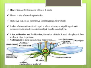Seed and Fruit development and Seed and Fruit Abortion ”.pptx ...