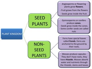 Year 5 - Natural Science - Unit 2: CLASSIFICATION OF LIVING THINGS | PPTX
