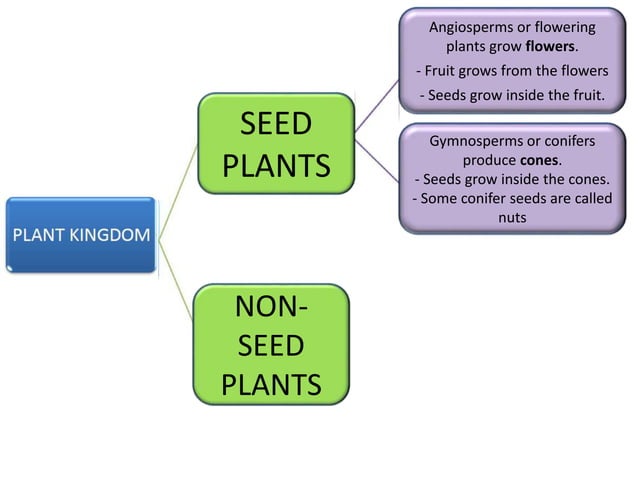 Year 5 - Natural Science - Unit 2: CLASSIFICATION OF LIVING THINGS ...