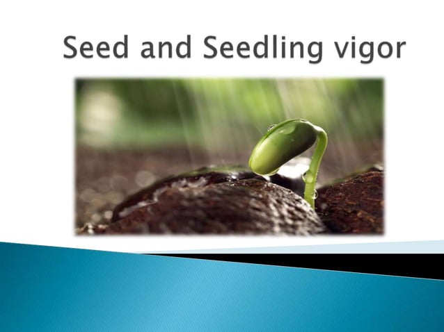 Seed and seedling vigor 17 | PPTX | Infertility | Reproductive Health