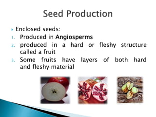Seed and seedling vigor 17 | PPTX